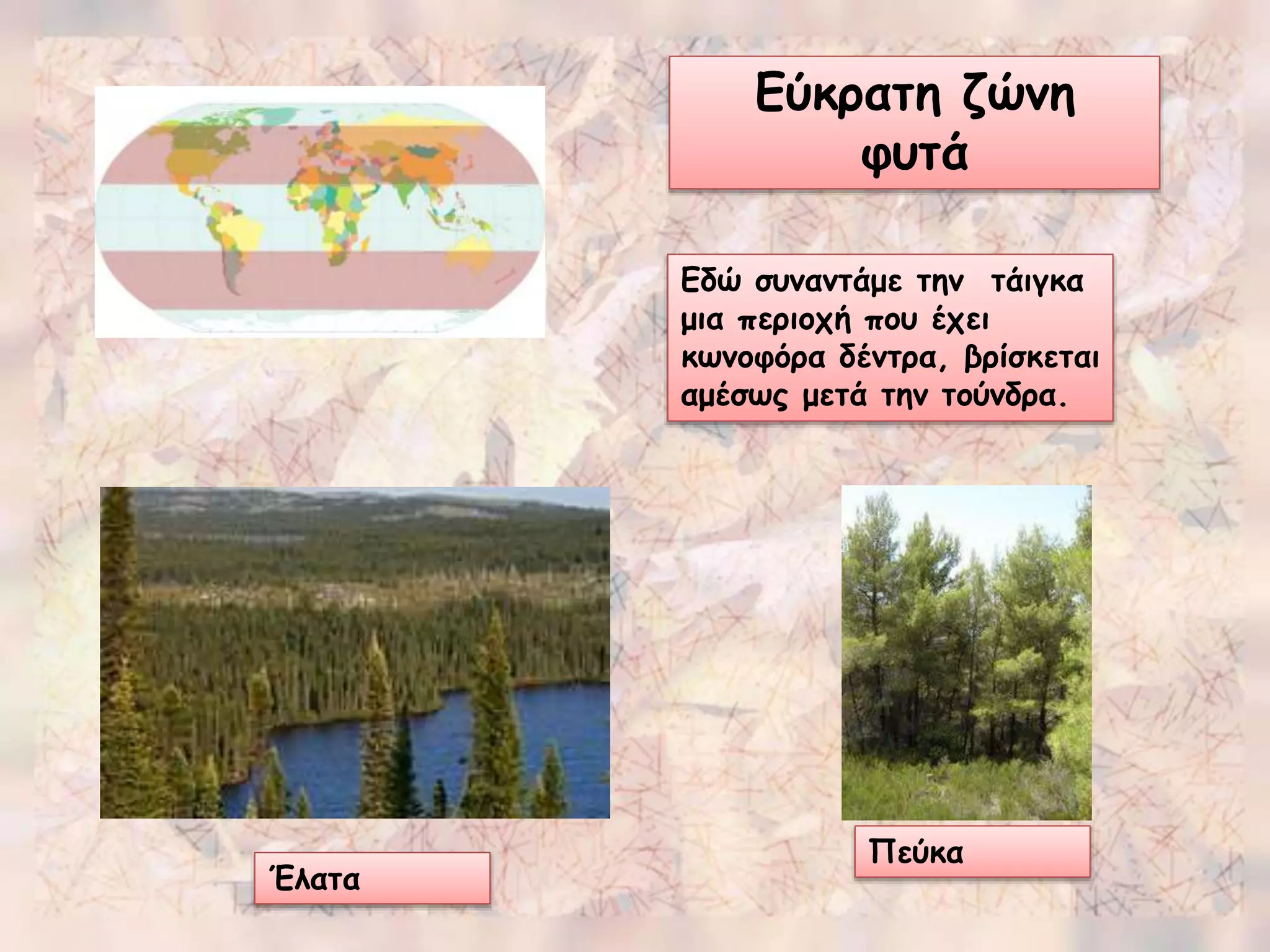En. 2 Zones blastisis | PPT