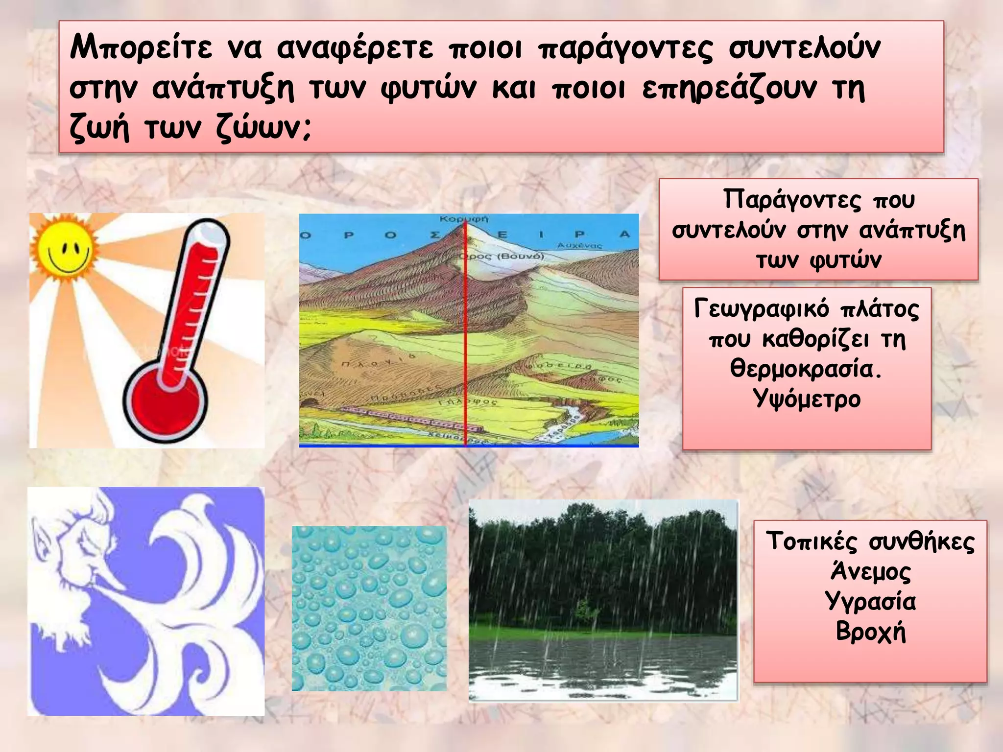 En. 2 Zones blastisis | PPT