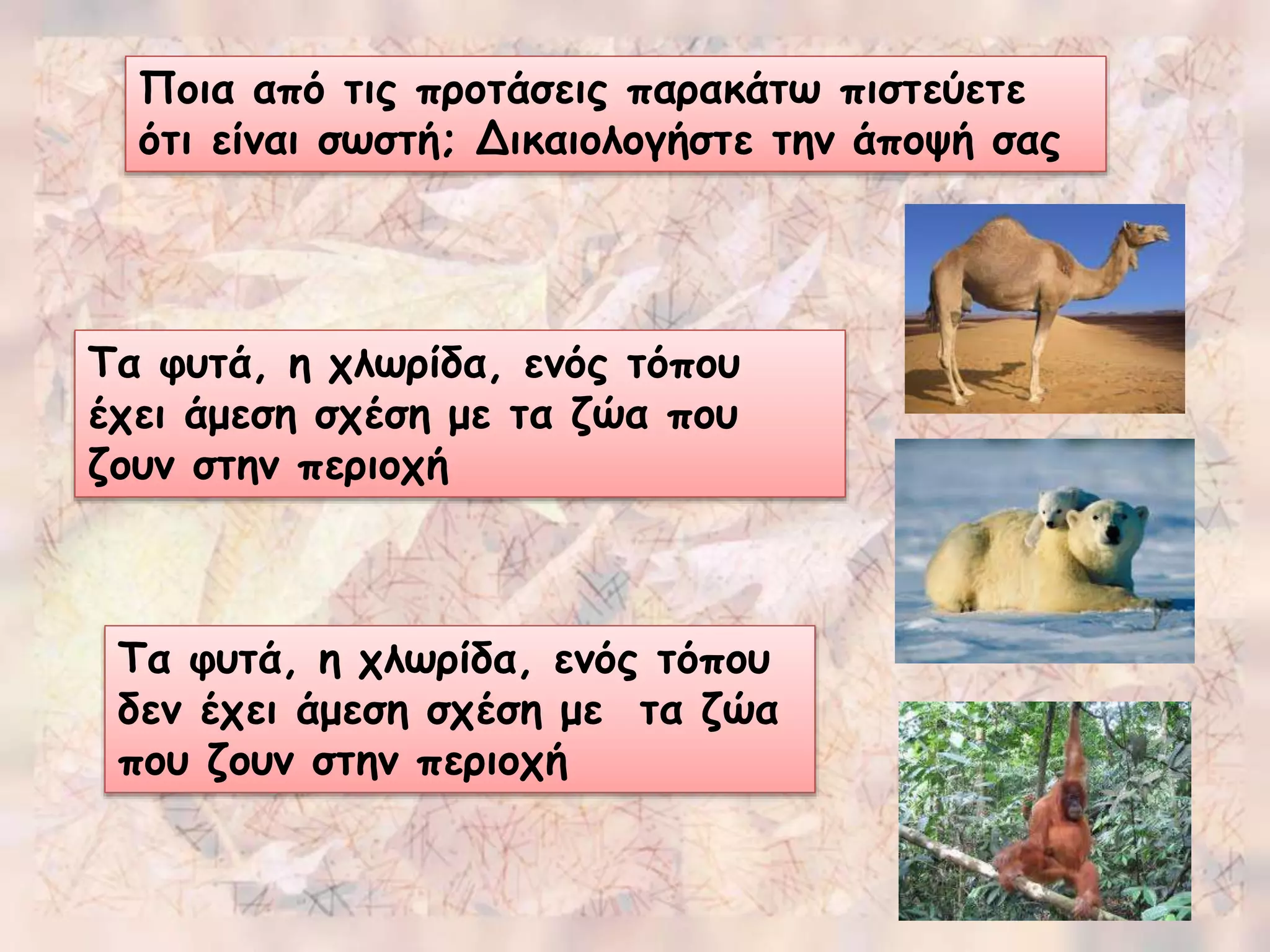 En. 2 Zones blastisis | PPT