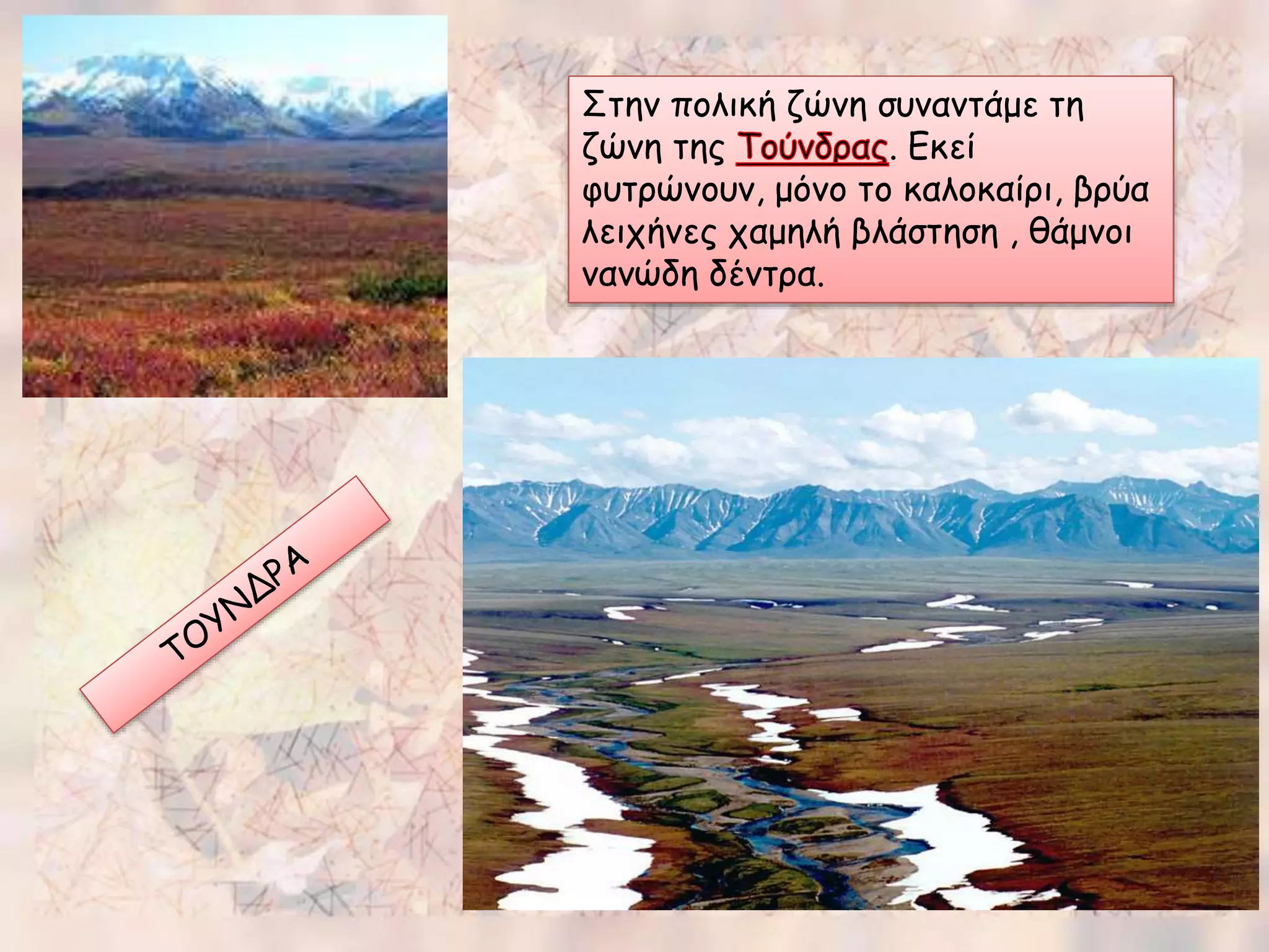 En. 2 Zones blastisis | PPT