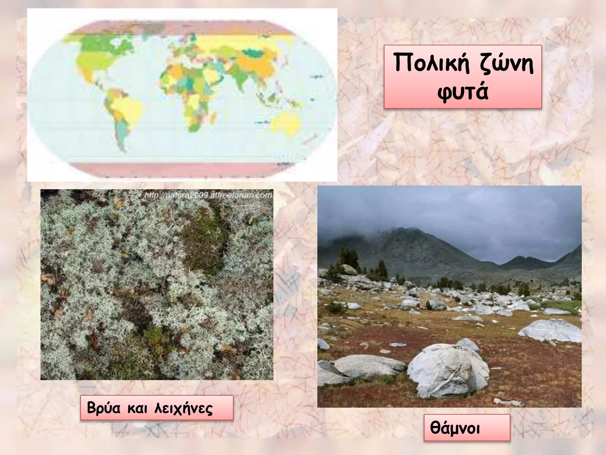 En. 2 Zones blastisis | PPT