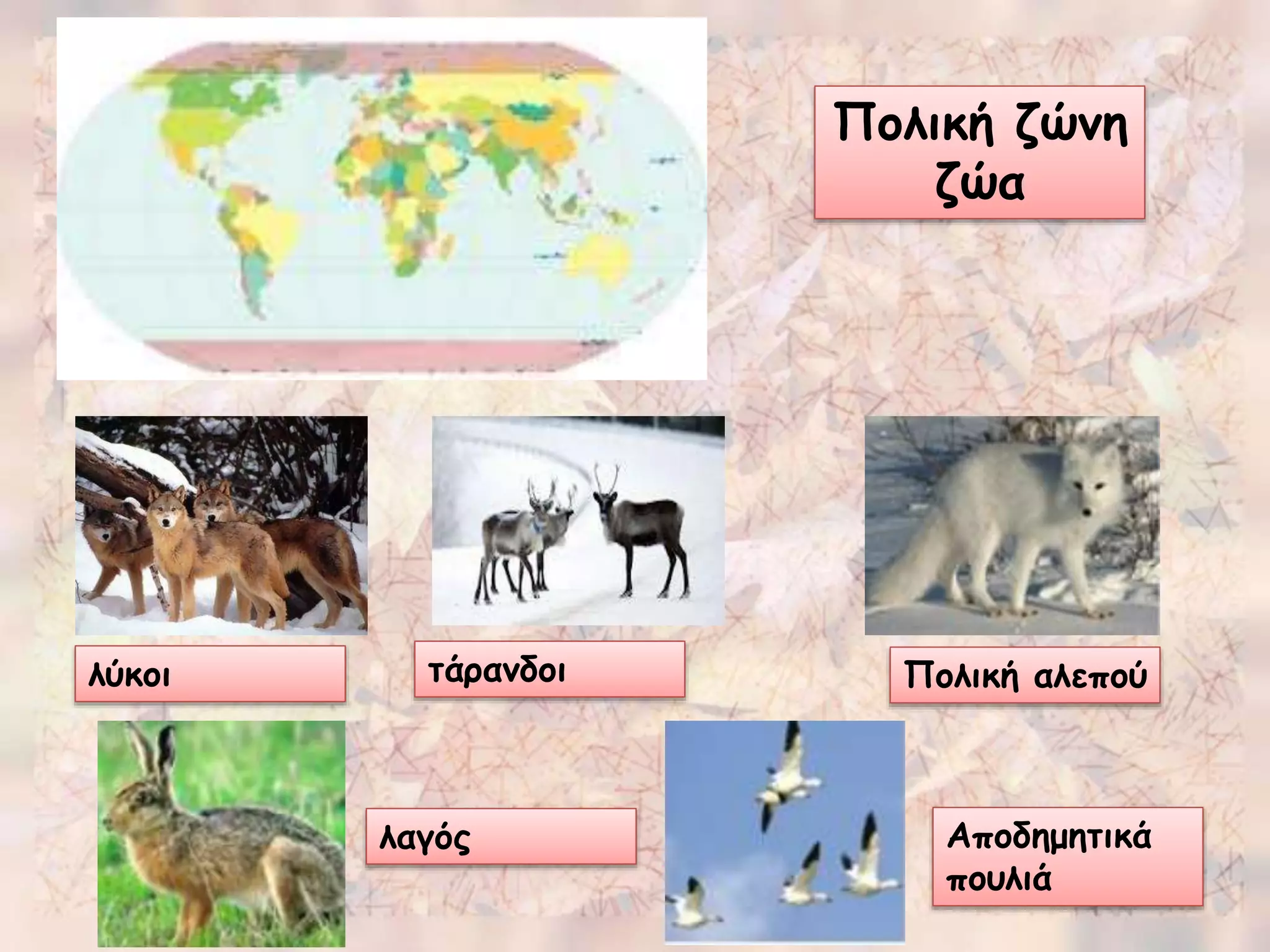 En. 2 Zones blastisis | PPT