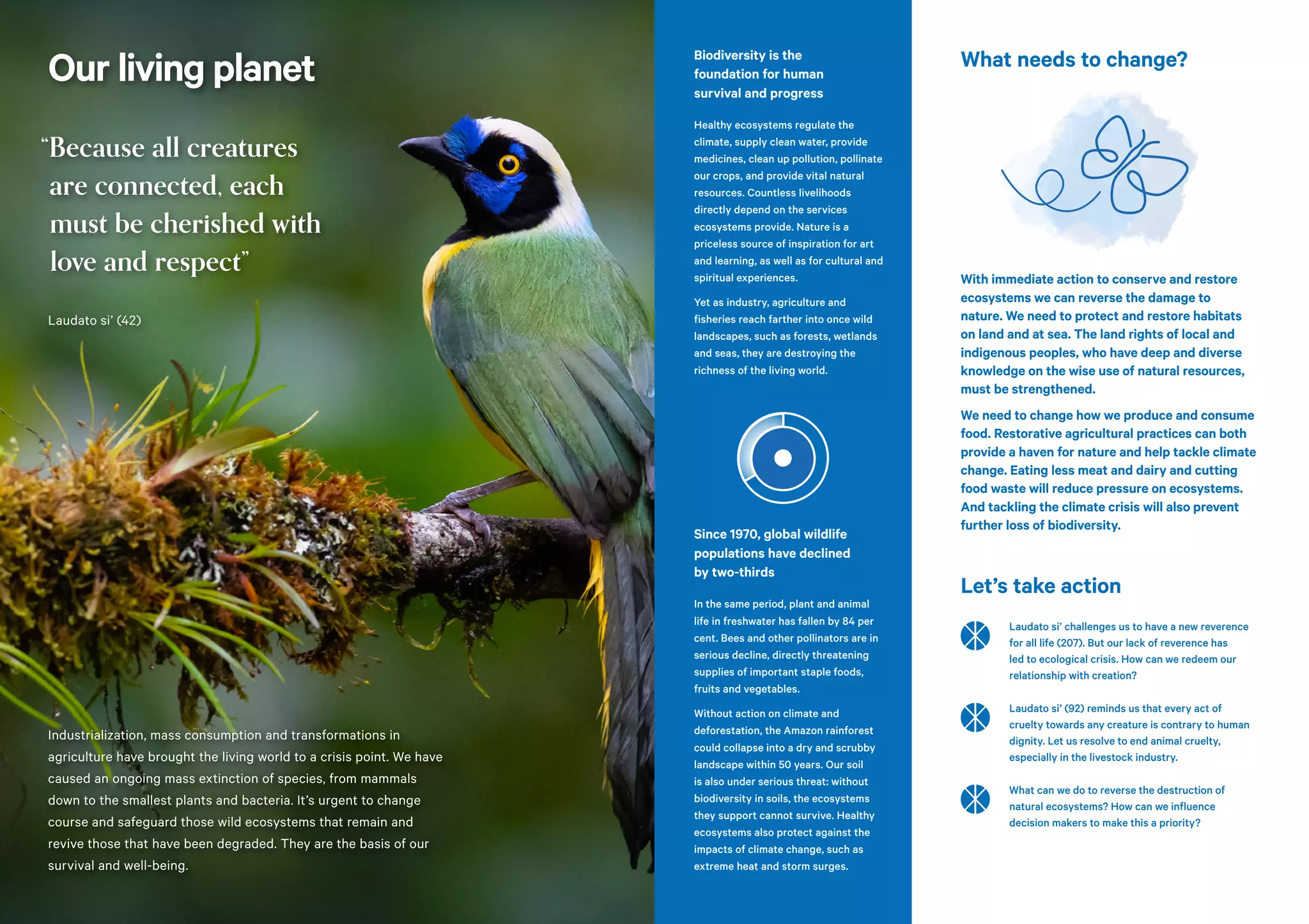 Our Common Home | PDF