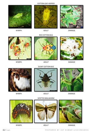 IMAGES OF PESTS OF COTTON | PDF