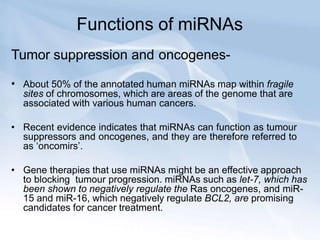 miRNA - Biogenesis, Function and Regulation | PPTX | Cancer | Diseases ...