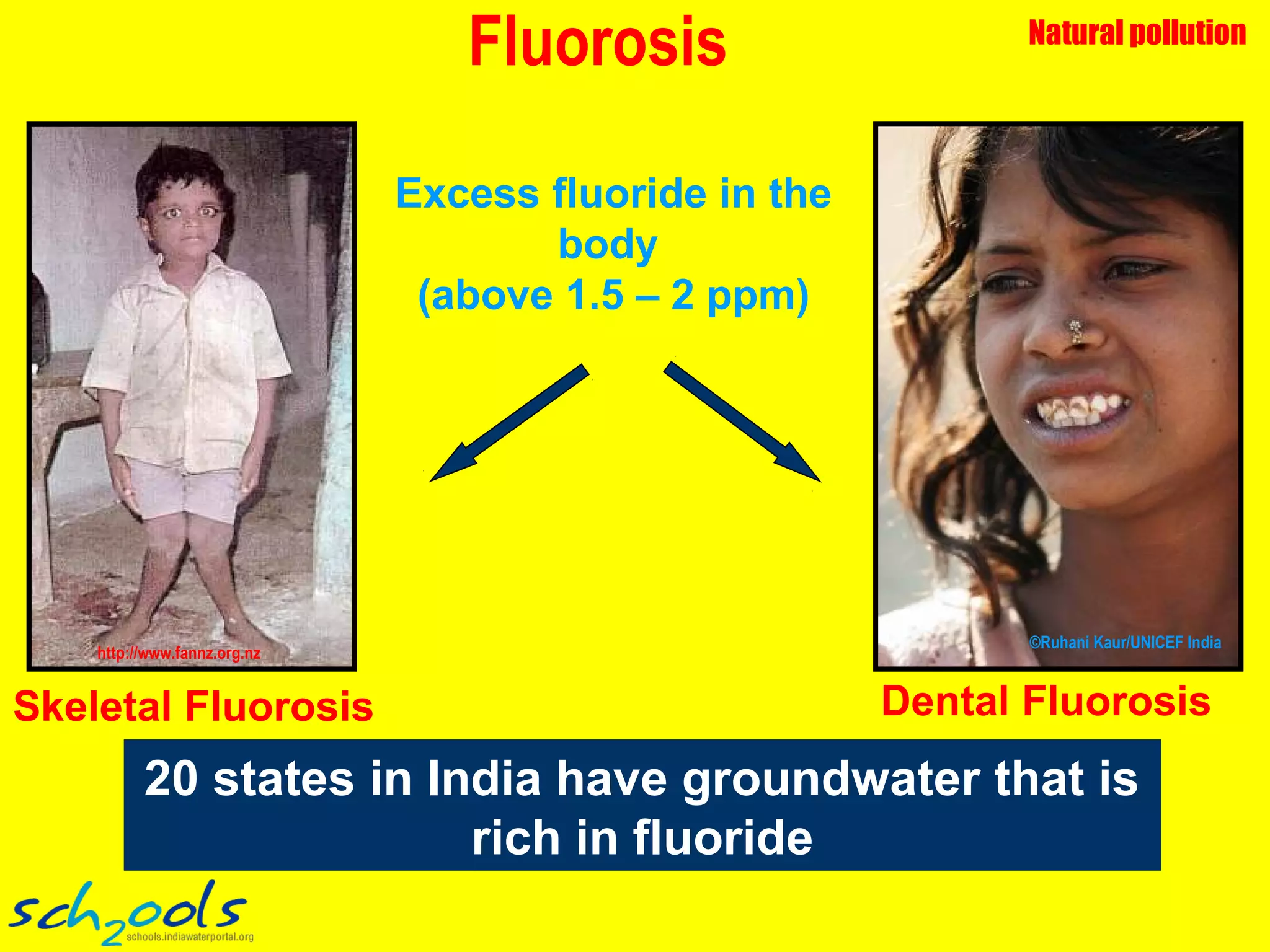 Impacts of water pollution | PPT