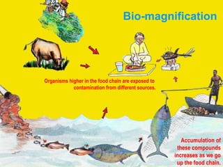 Impacts of water pollution | PPT