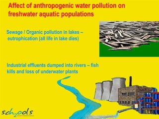 Impacts of water pollution | PPT