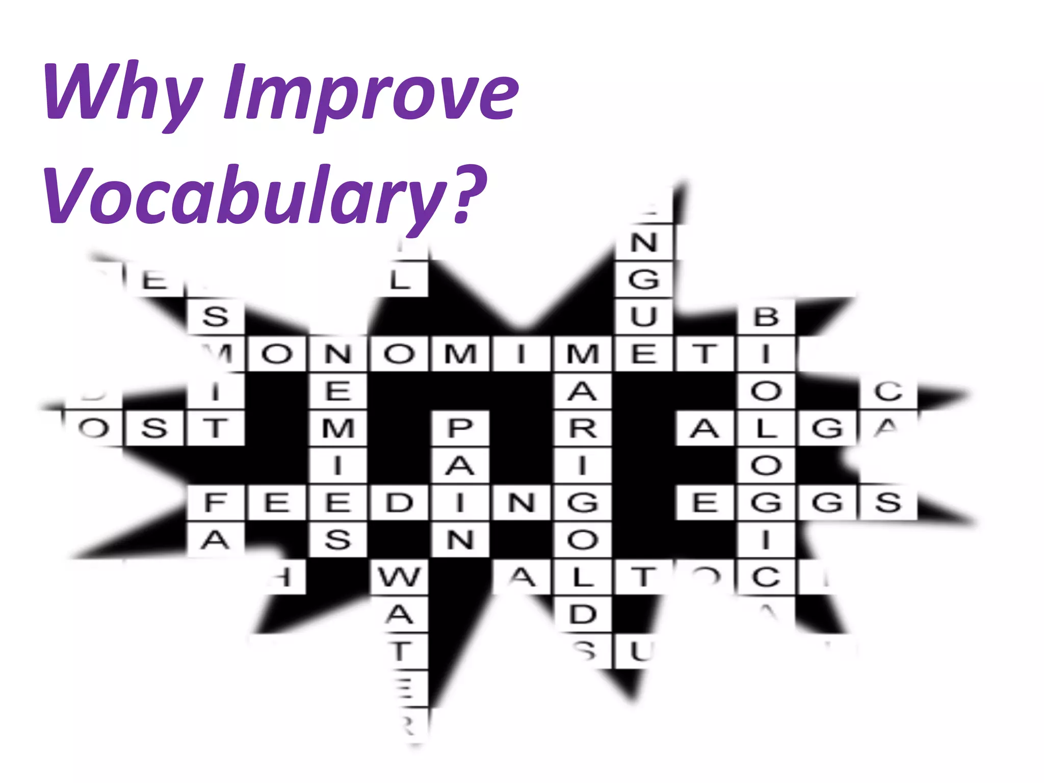 The importance of vocabulary | PPT