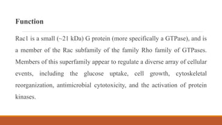 Rho family of GTPases | PPTX