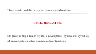 Rho family of GTPases | PPTX