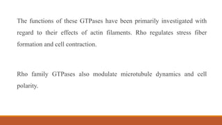 Rho family of GTPases | PPTX