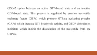 Rho family of GTPases | PPTX