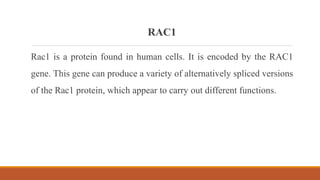 Rho family of GTPases | PPTX