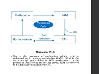The Role of DNA Methylation in Coronary Artery Disease | PPTX