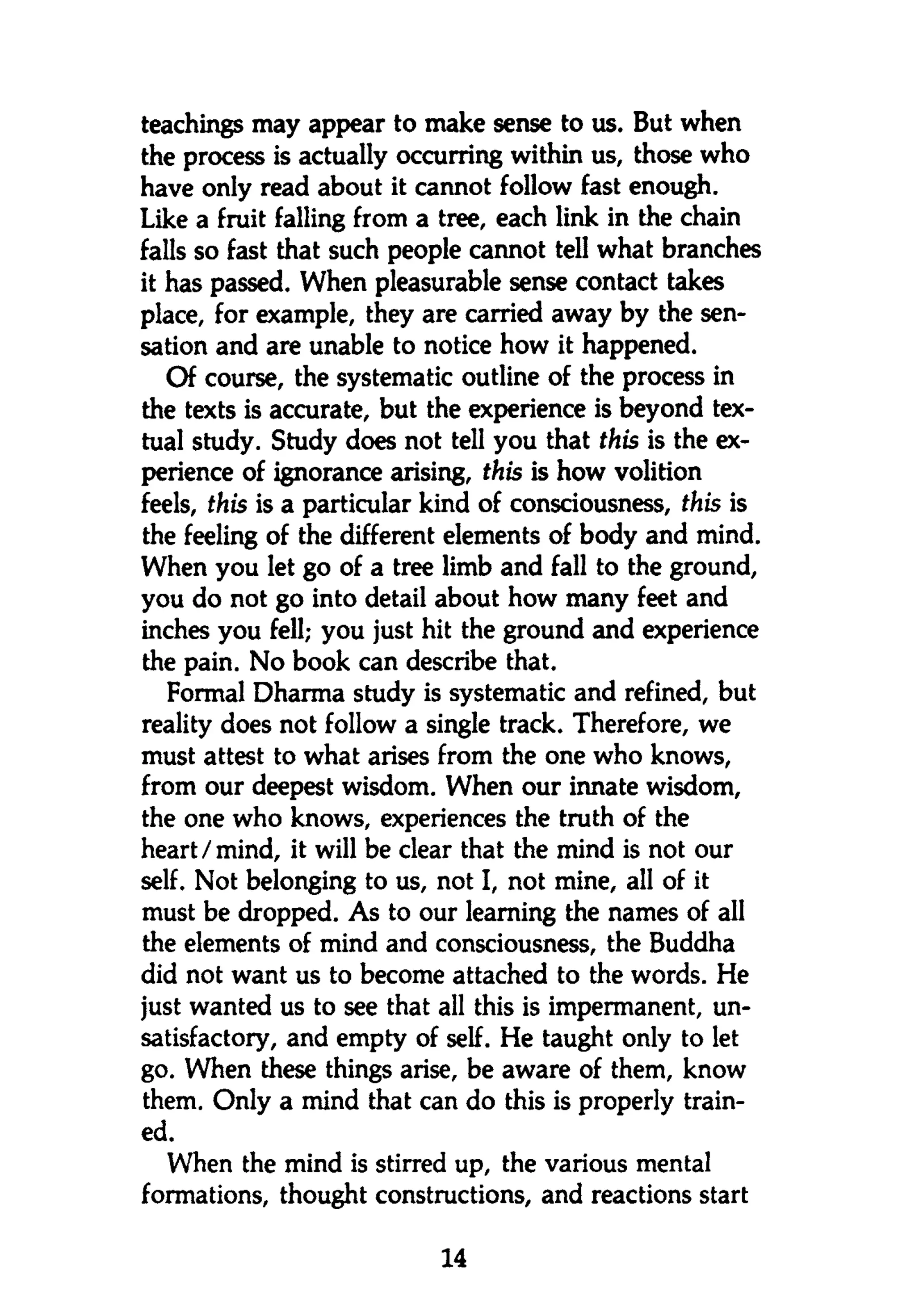 A still forest Pool | PDF