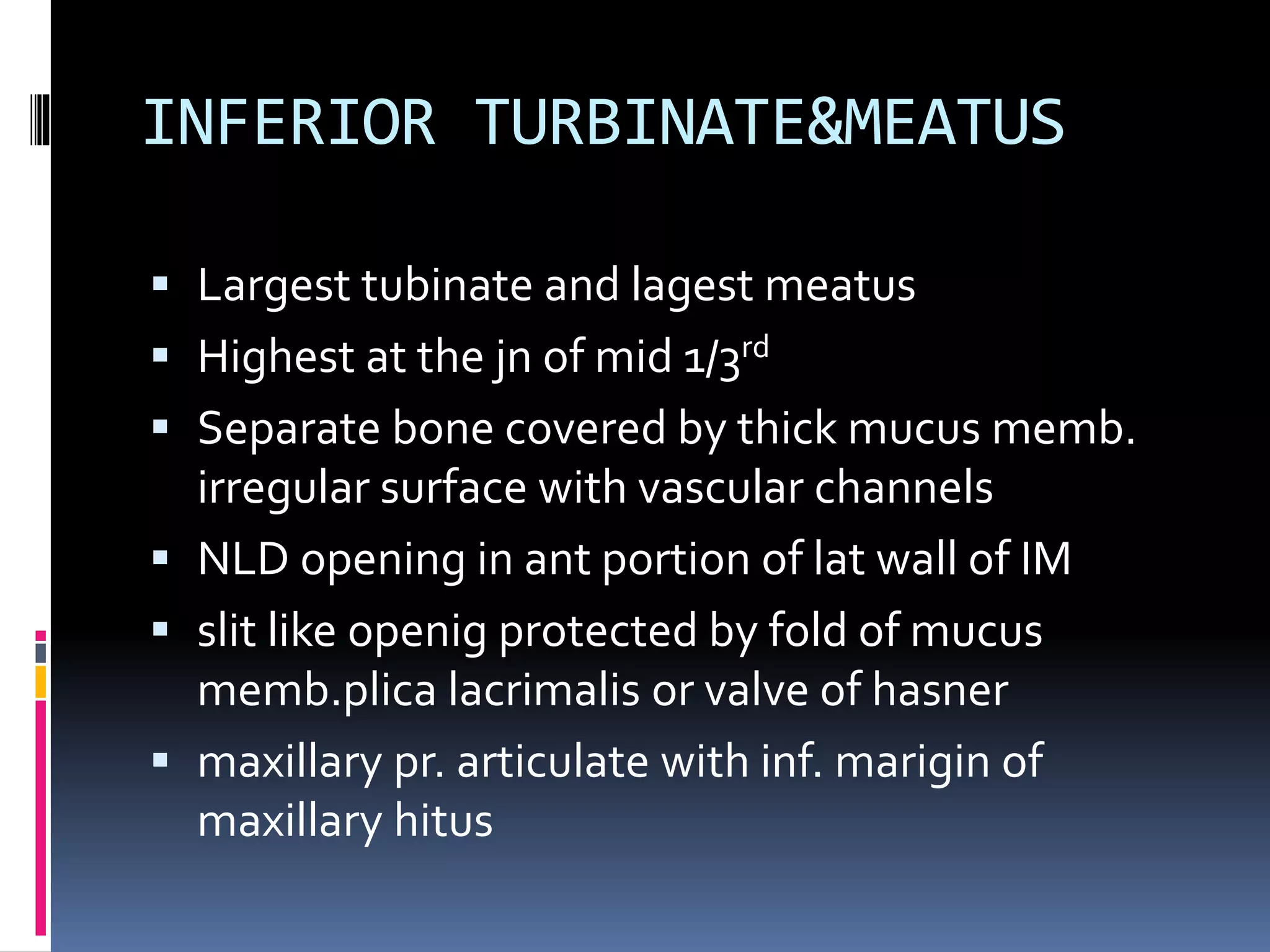 endoscopic anatomy of nasal cavity | PPTX