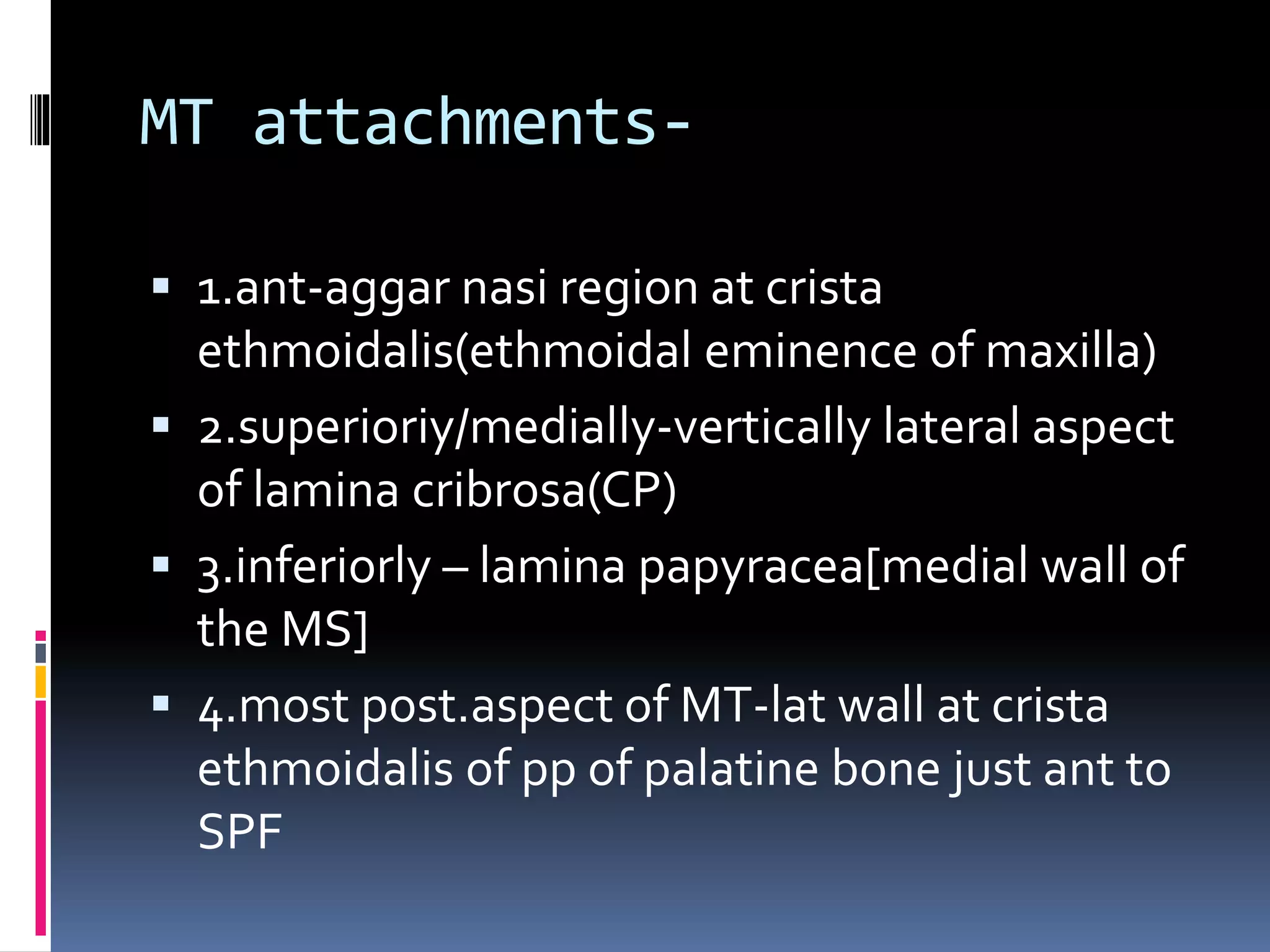 endoscopic anatomy of nasal cavity | PPTX