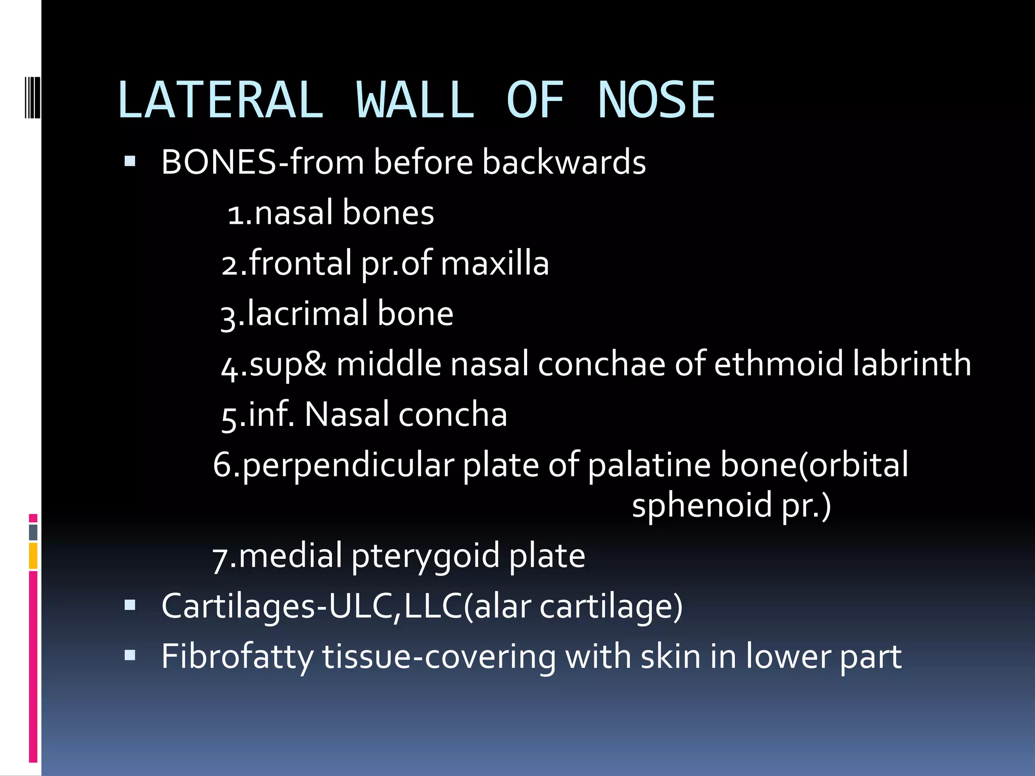 endoscopic anatomy of nasal cavity | PPTX