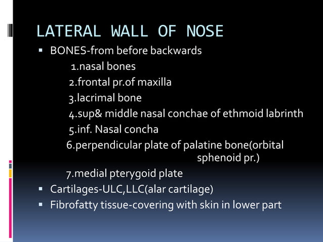 endoscopic anatomy of nasal cavity | PPTX | Ear, Nose and Throat ...