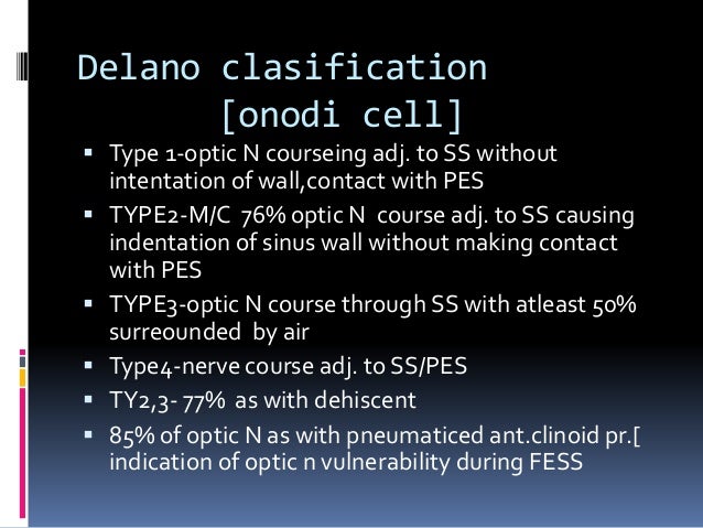 endoscopic anatomy of nasal cavity