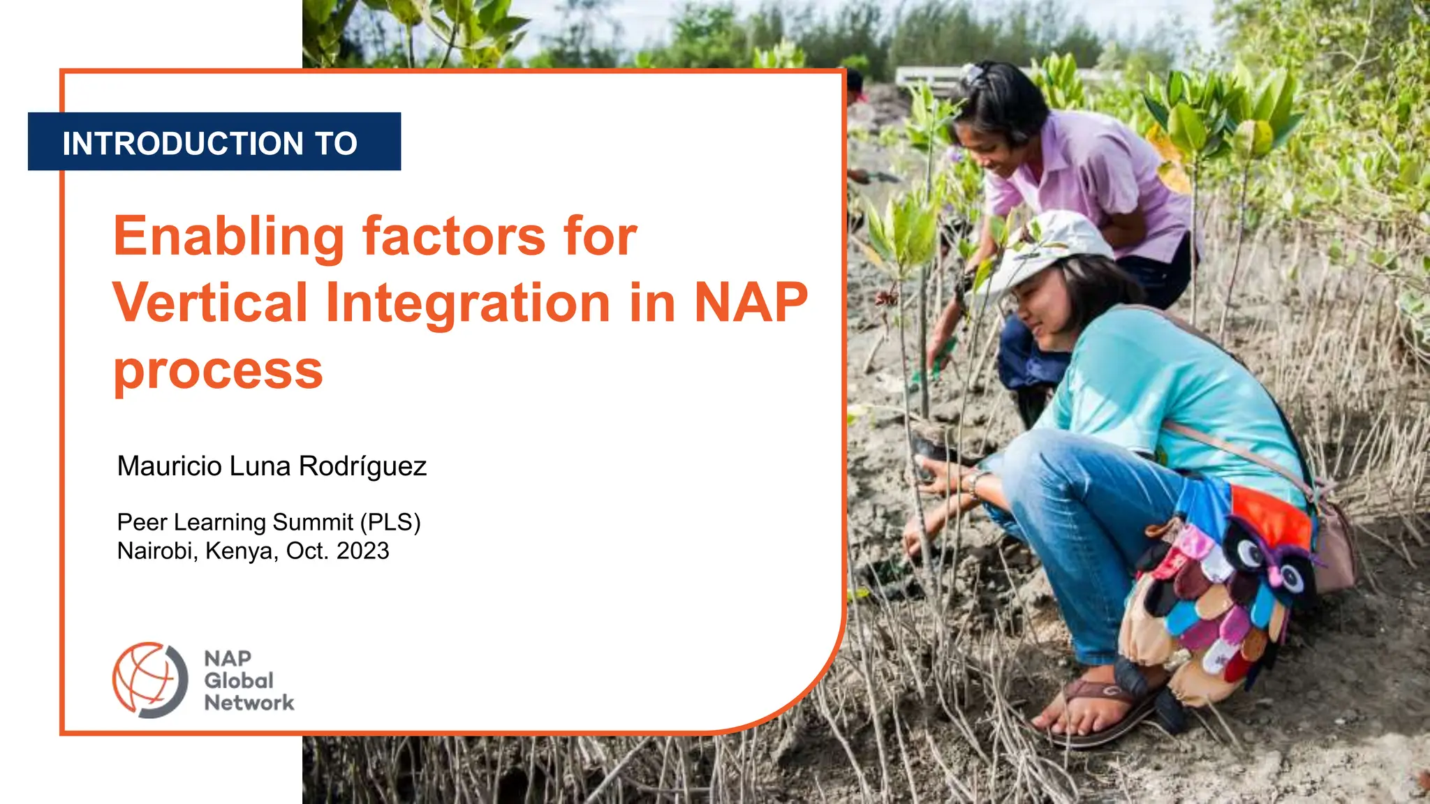 Enabling factors for Vertical Integration in NAP process | PPT
