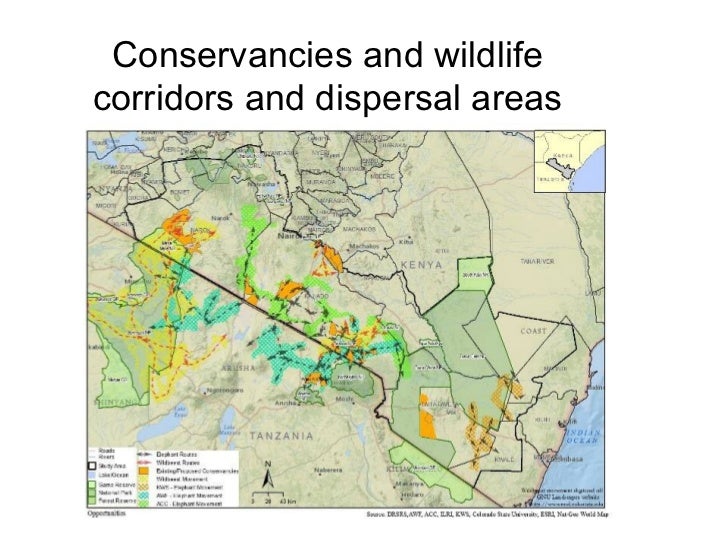 Review of community conservancies in Kenya