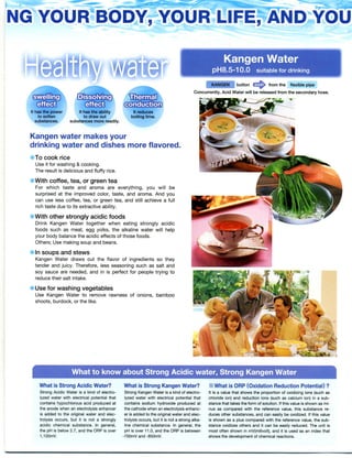 Enagic LeveLuk SD501 Brochure | PDF