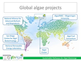 Energy from algae: opportunities and barriers to uptake | PPTX ...