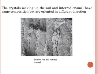 Enamel | PPT