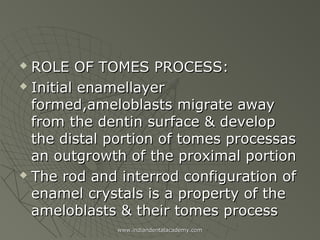Enamel / dental implant courses
