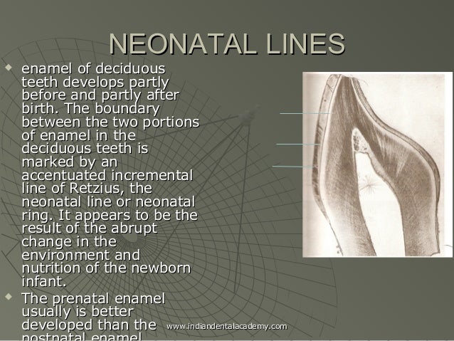 Enamel / dental implant courses