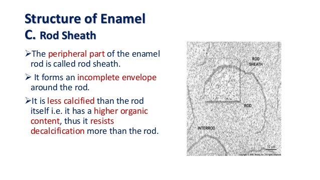 Enamel