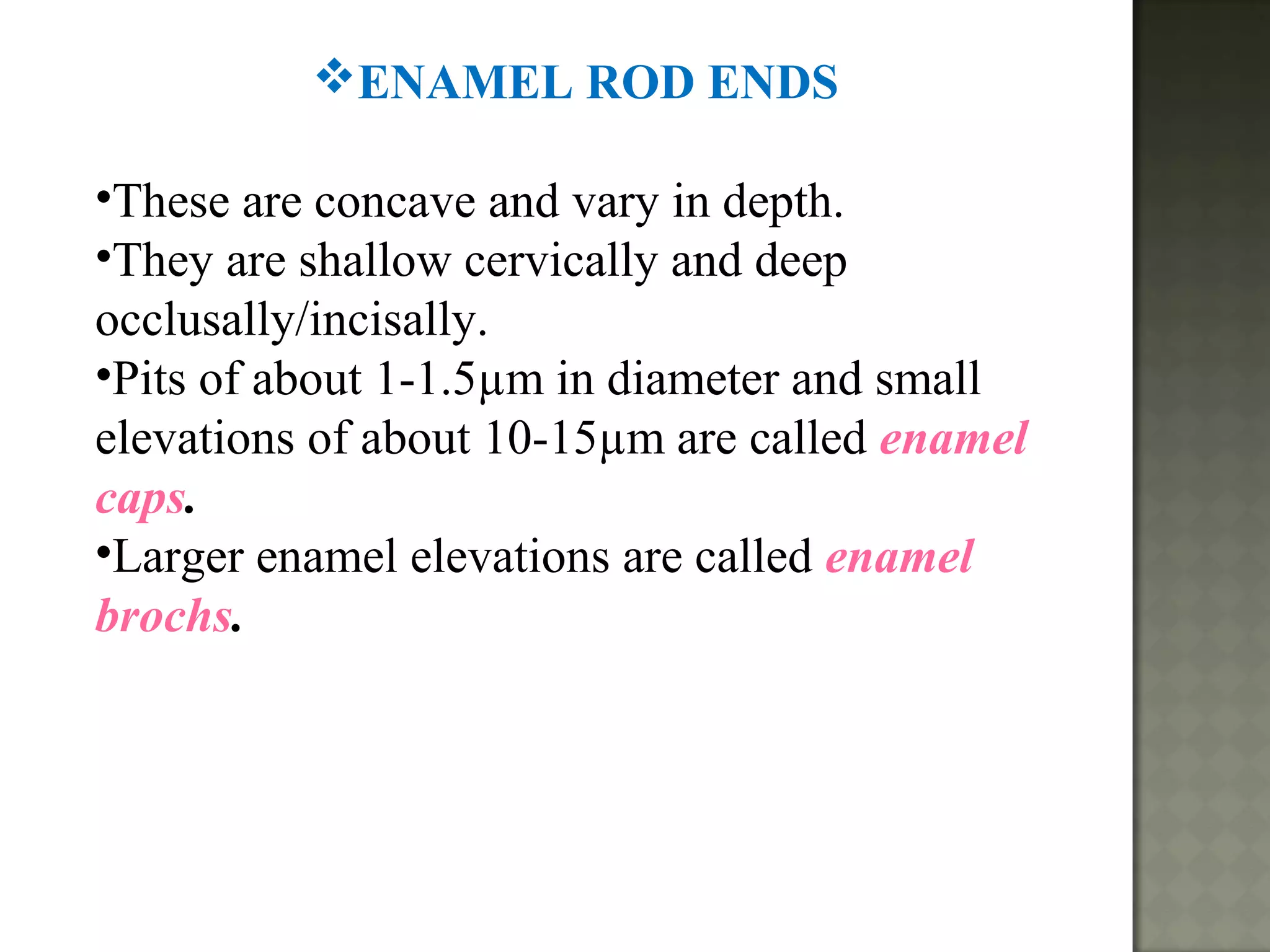 Enamel | PPT
