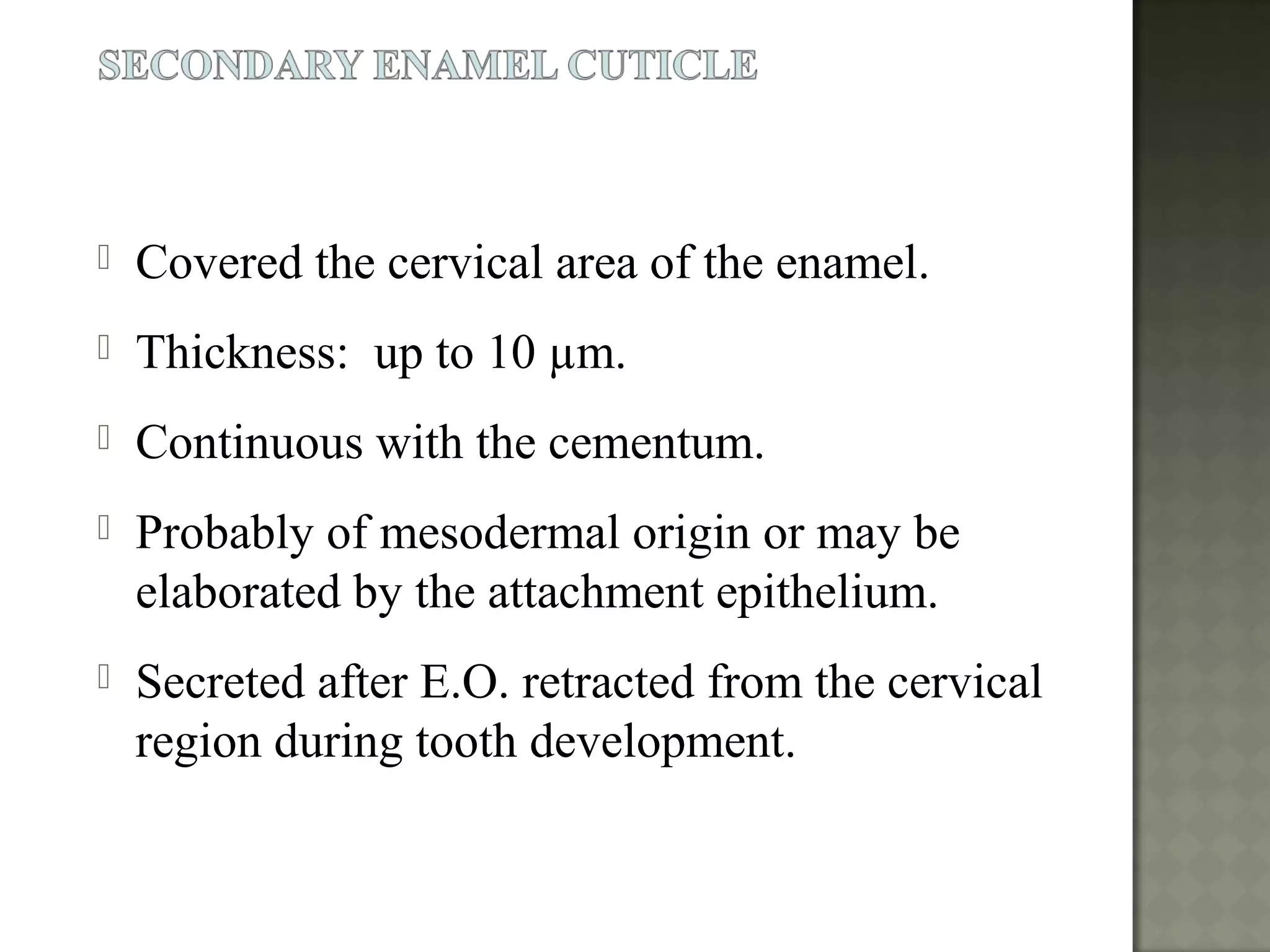 Enamel | PPT