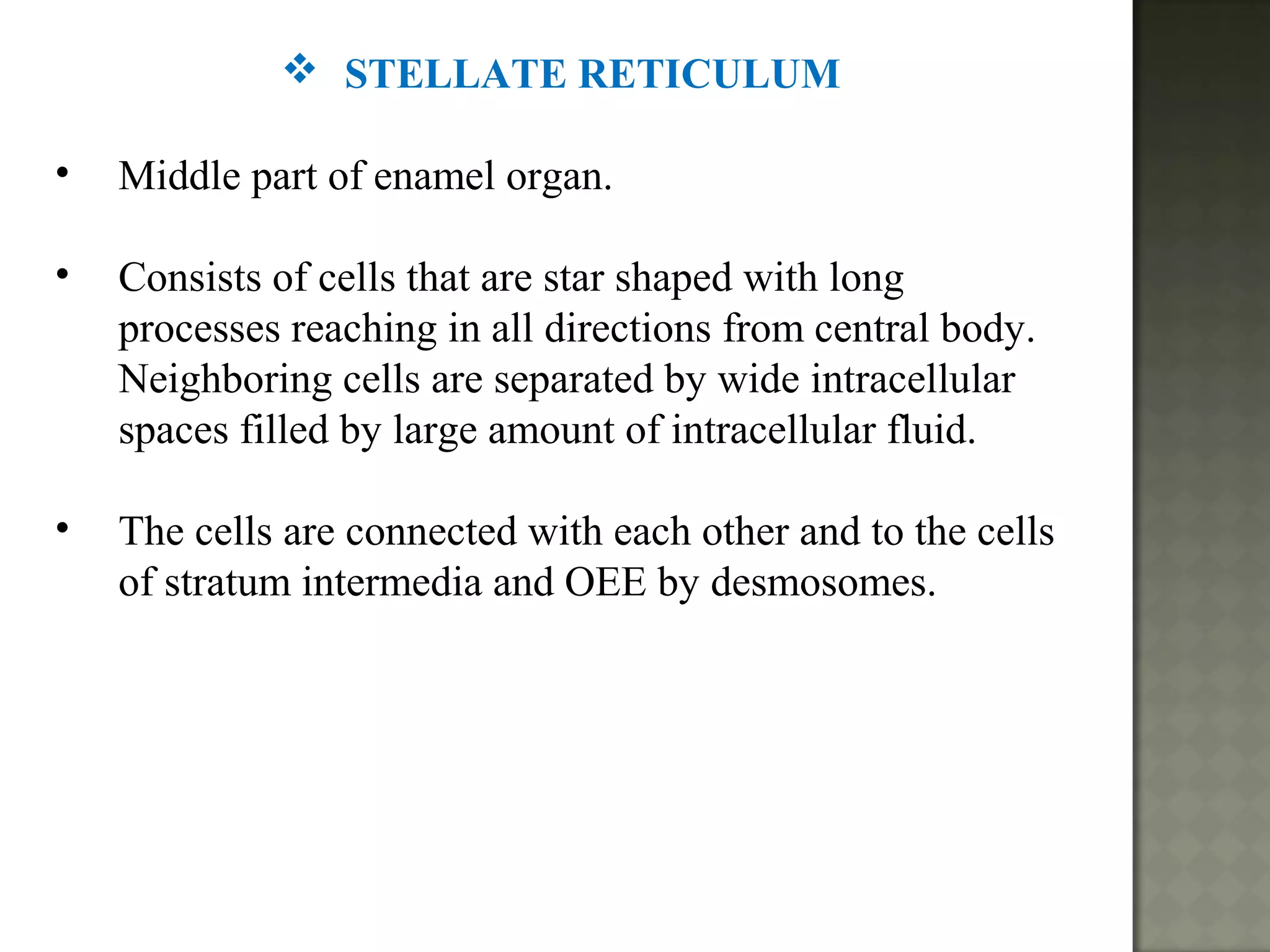 Enamel | PPT