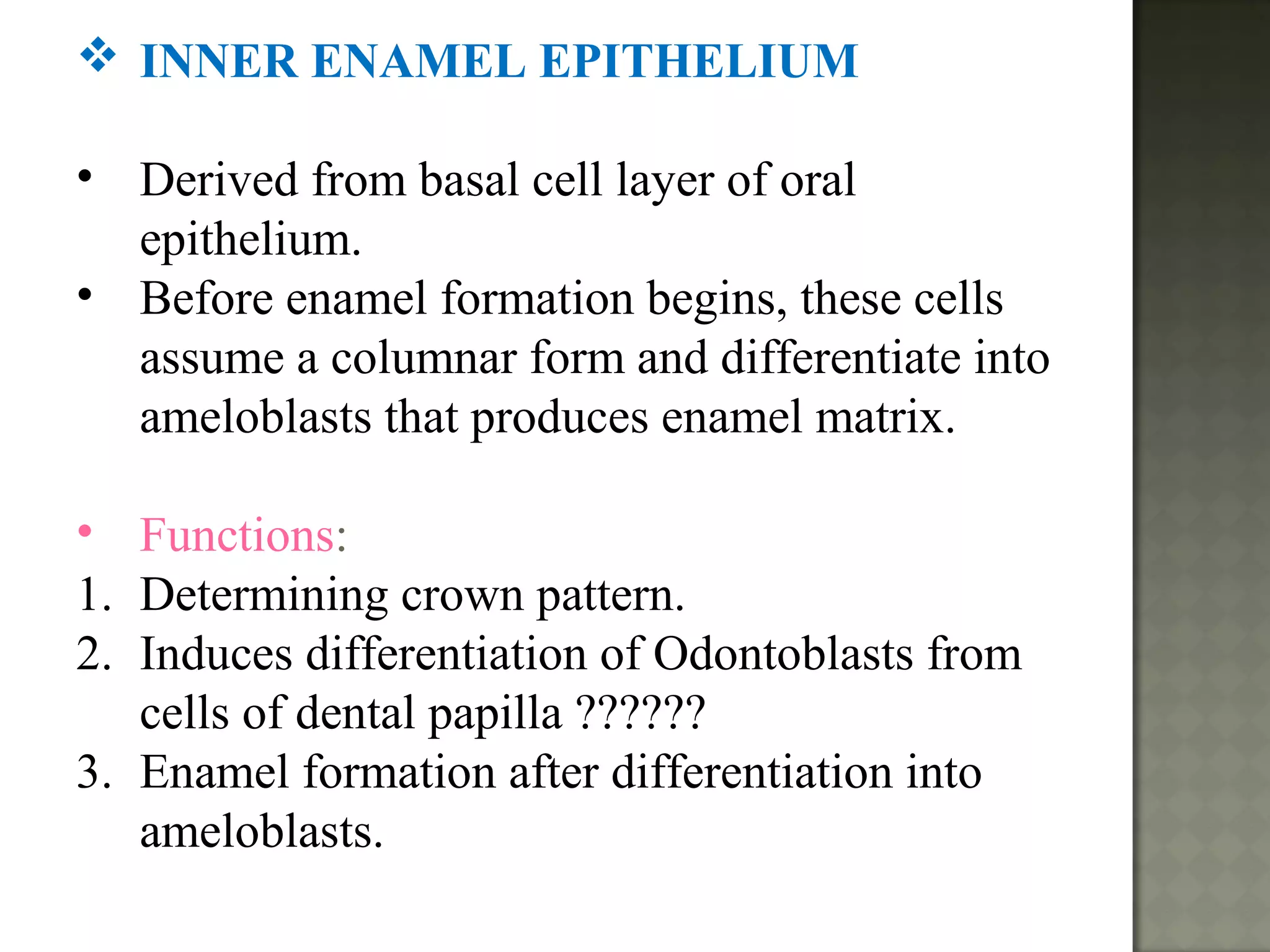 Enamel | PPT