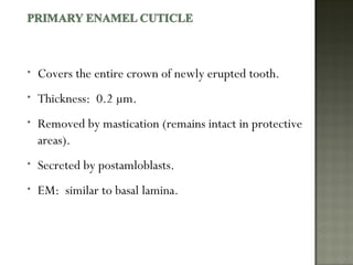 Enamel | PPT