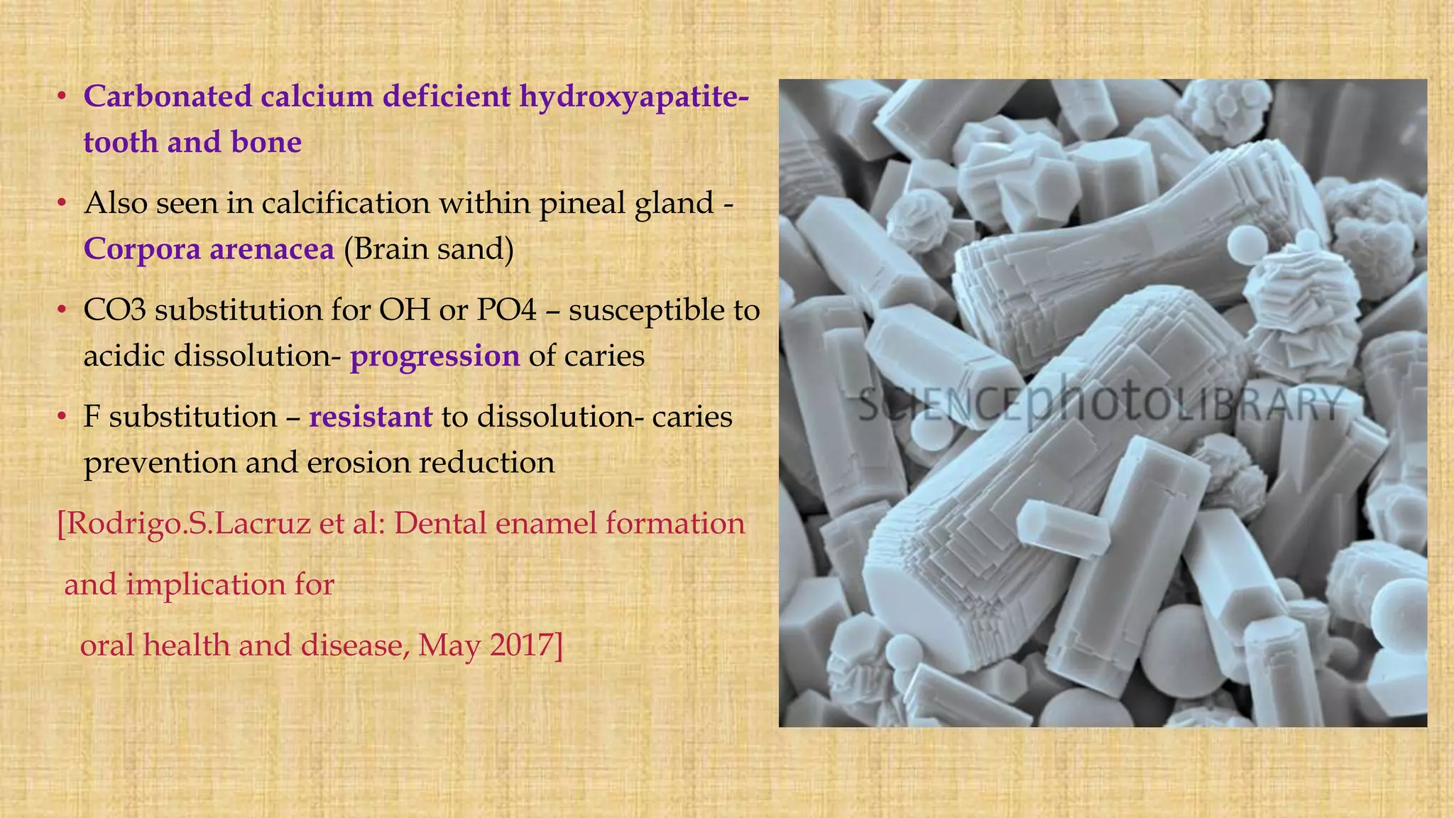 Enamel - structure and development | PPTX