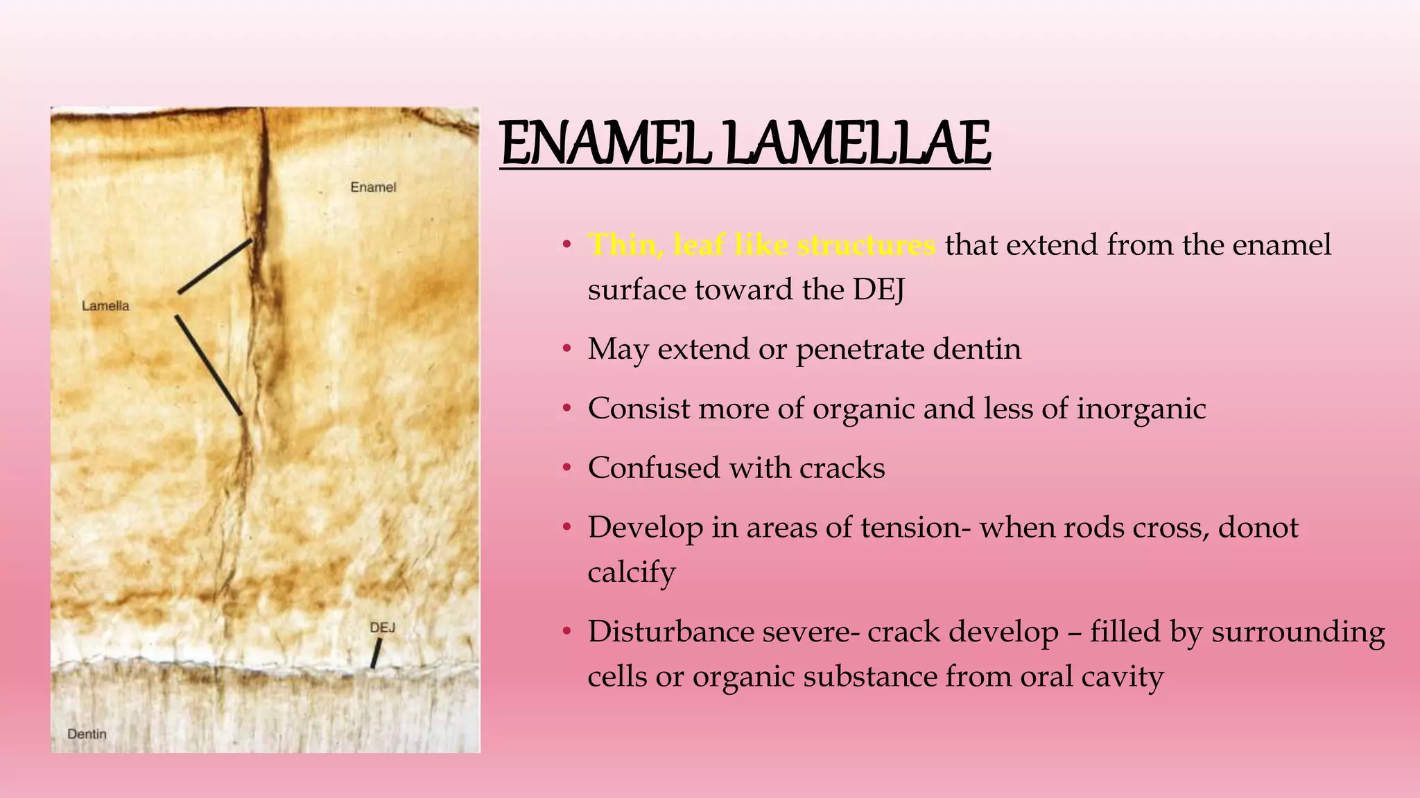 Enamel - structure and development | PPTX