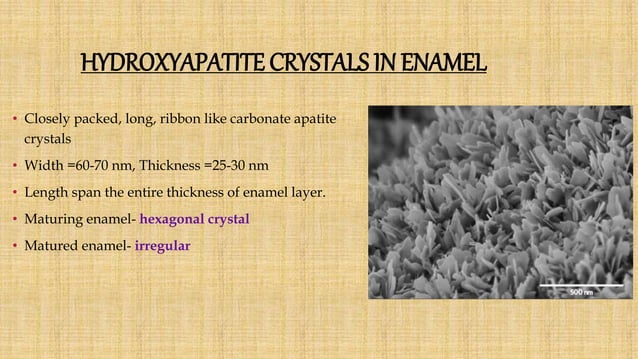 Enamel - structure and development | PPTX