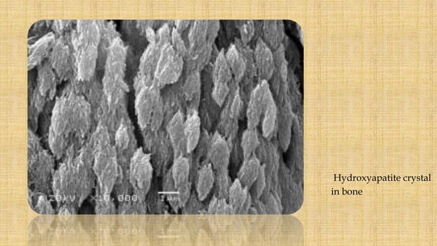 Enamel - structure and development | PPTX