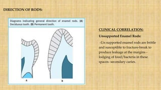 Enamel - structure and development | PPTX