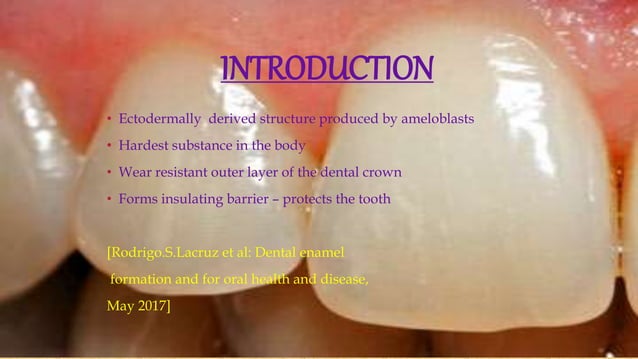 Enamel - structure and development | PPTX