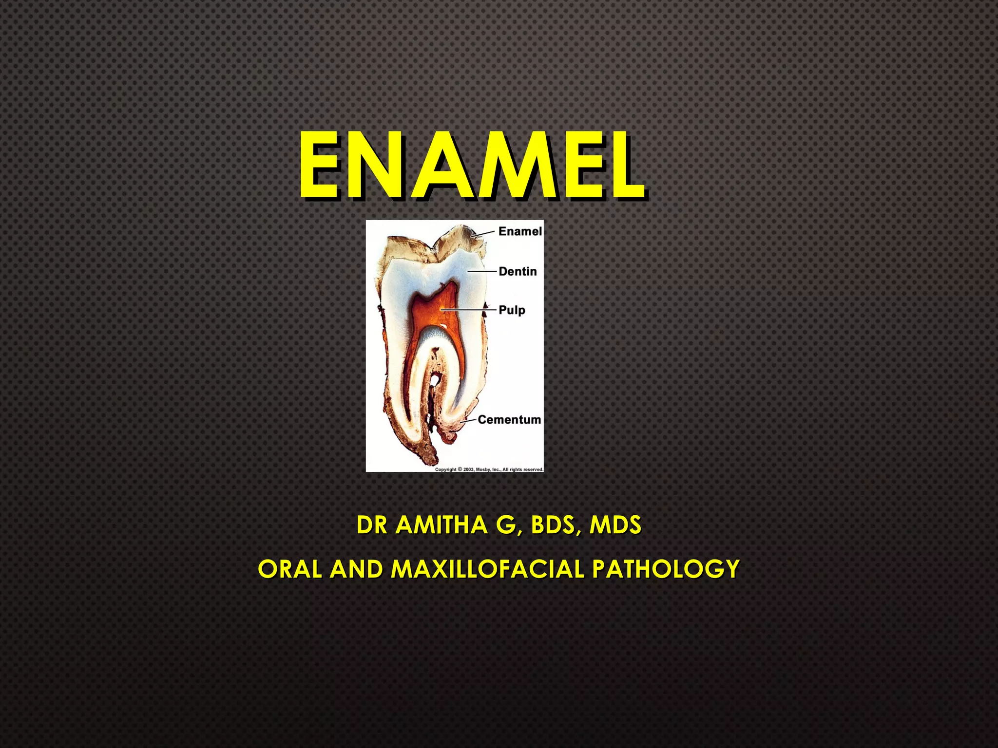 ENAMEL | PPT