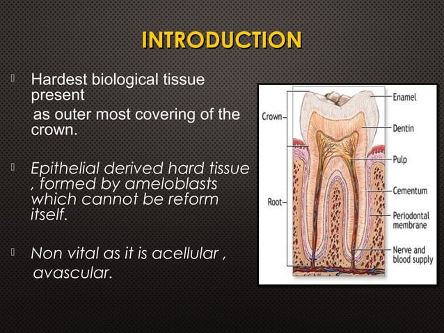 ENAMEL | PPT | Dental Health | Diseases and Conditions