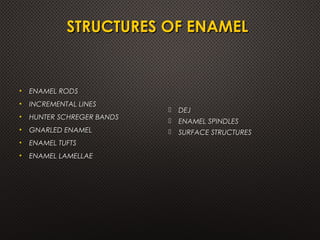 ENAMEL | PPT