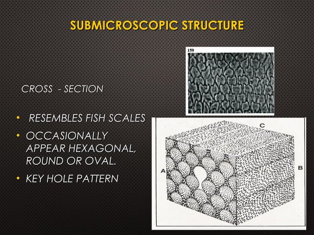 ENAMEL | PPT | Dental Health | Diseases and Conditions
