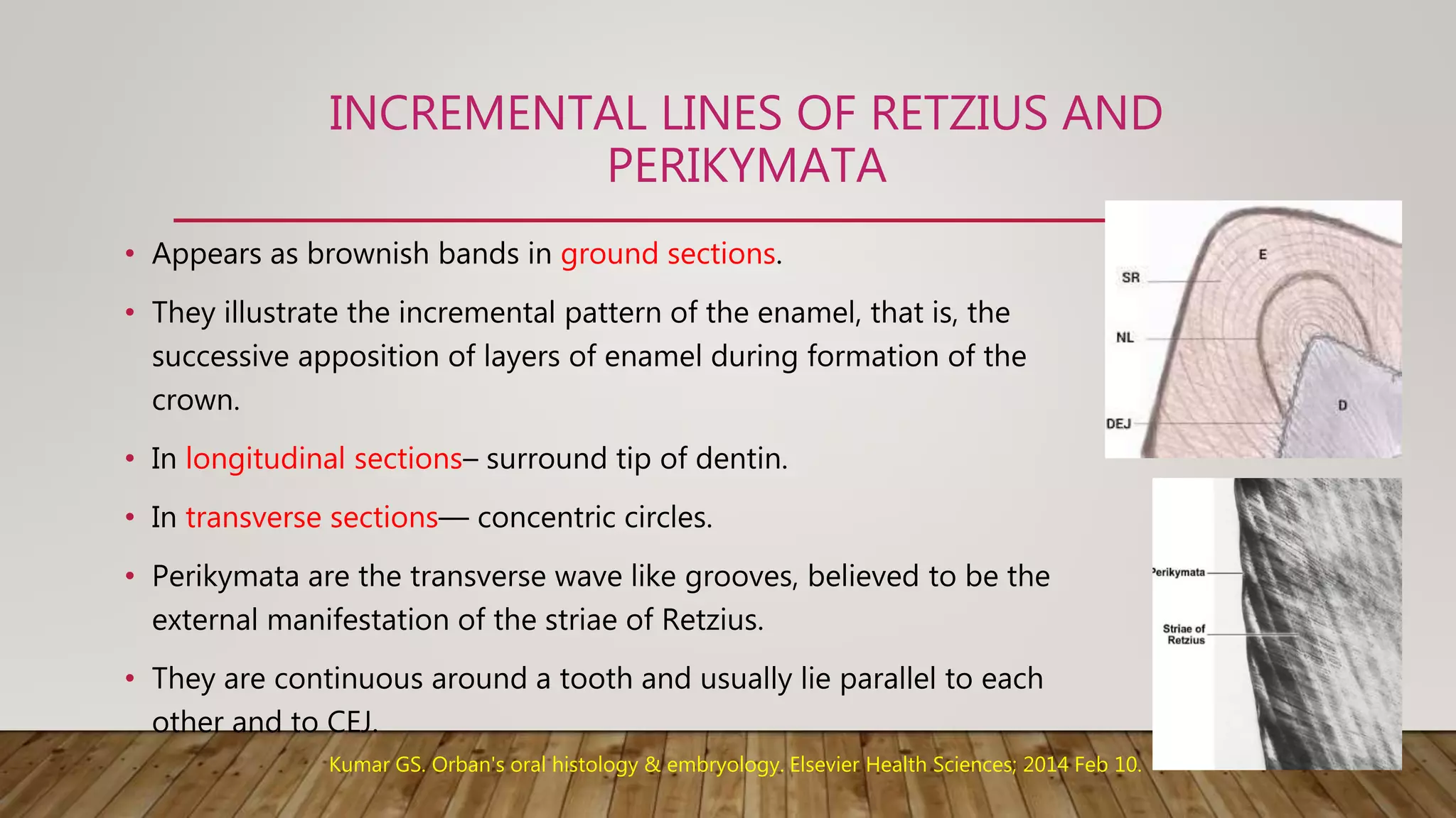 Enamel CONSERVATIVE DENTISTRY AND ENDODONTICS | PPTX