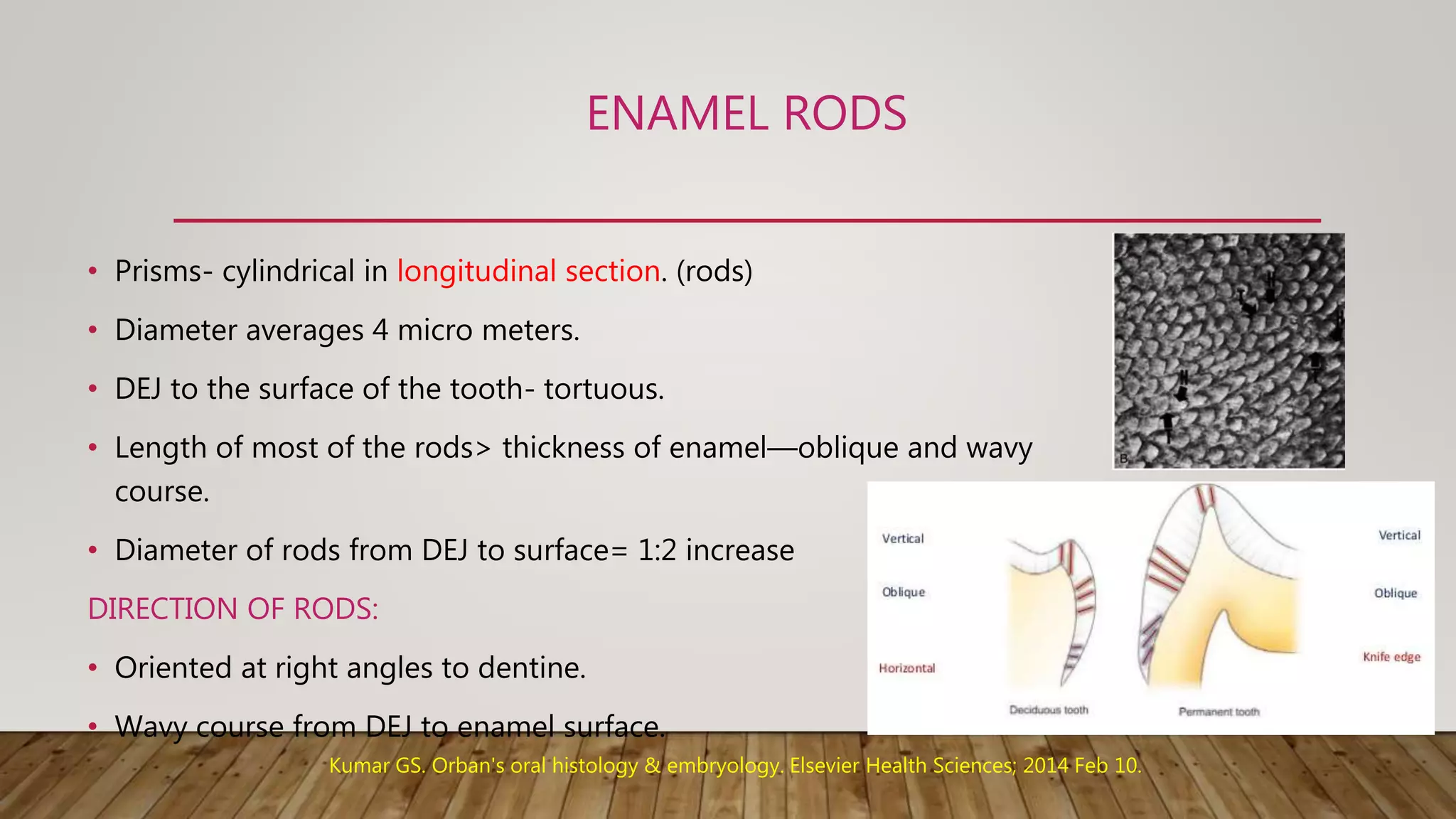 Enamel CONSERVATIVE DENTISTRY AND ENDODONTICS | PPTX